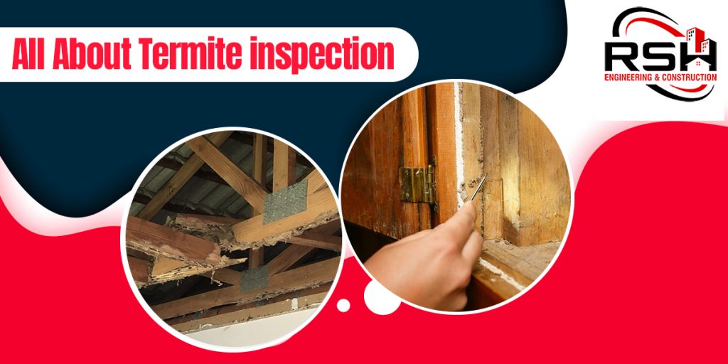Termite inspections: essential protection